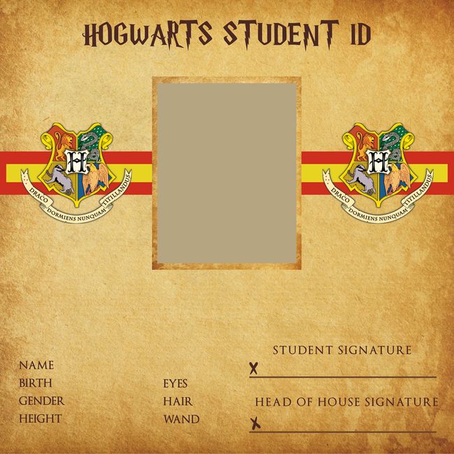 Wizarding World: Hogwarts Student ID Custom 12 x 12 Paper