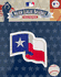 Texas Rangers Flag Sleeve Logo Patch