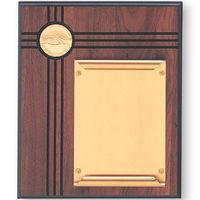 Insert Plaques, Plaque with Insert, TrophyCentral