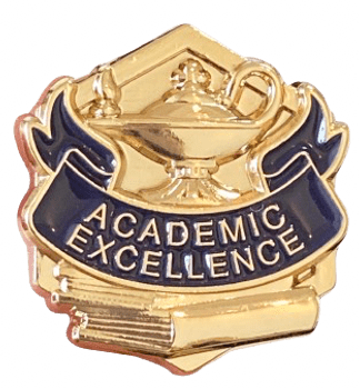 3D Series Gold Academic Excellence Pins | TrophyCentral