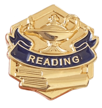 3D Series Gold Reading Pins | Reading Lapel Pins