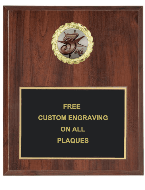 Beautiful 3rd Place Insert Plaque from TrophyCentral