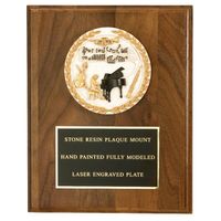 Insert Plaques, Plaque with Insert, TrophyCentral