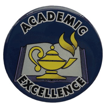 Colorful Academic Excellence Epoxy-Covered Insert Decals | TrophyCentral
