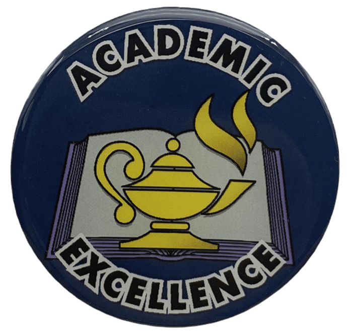 Colorful Academic Excellence Epoxy-Covered Insert Decals | TrophyCentral