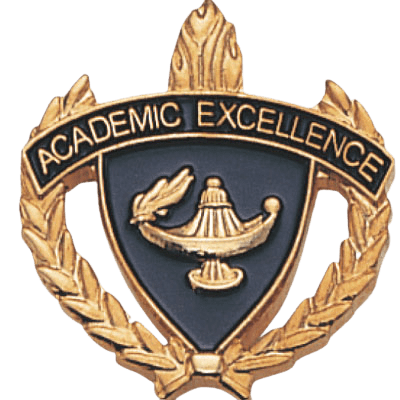 Academic Excellence - HP Series Award Pins | TrophyCentral