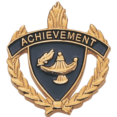 Lapel Pin for Achievement - Trophy Central