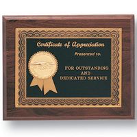 Insert Plaques, Plaque with Insert, TrophyCentral