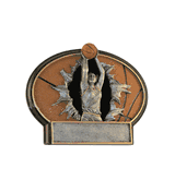 Basketball Trophies and Awards
