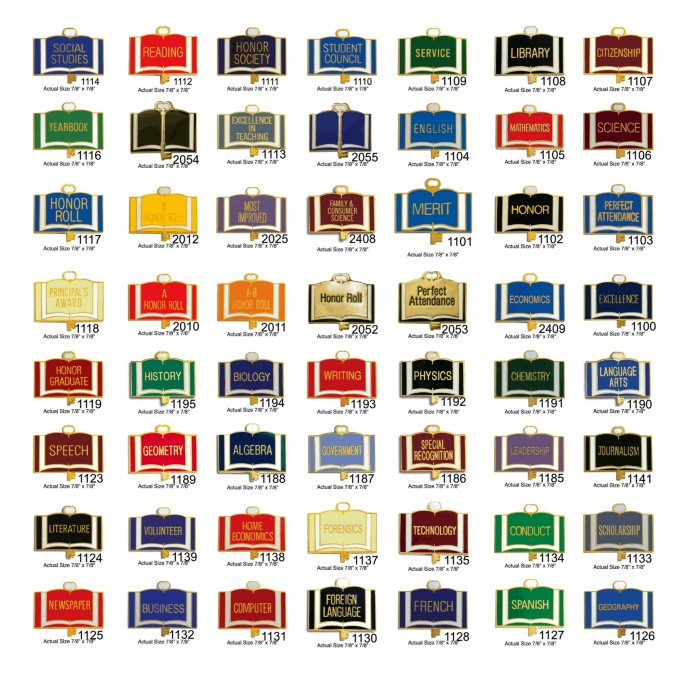 Book Shaped Lapel Pins - School Subject Lapel Pins