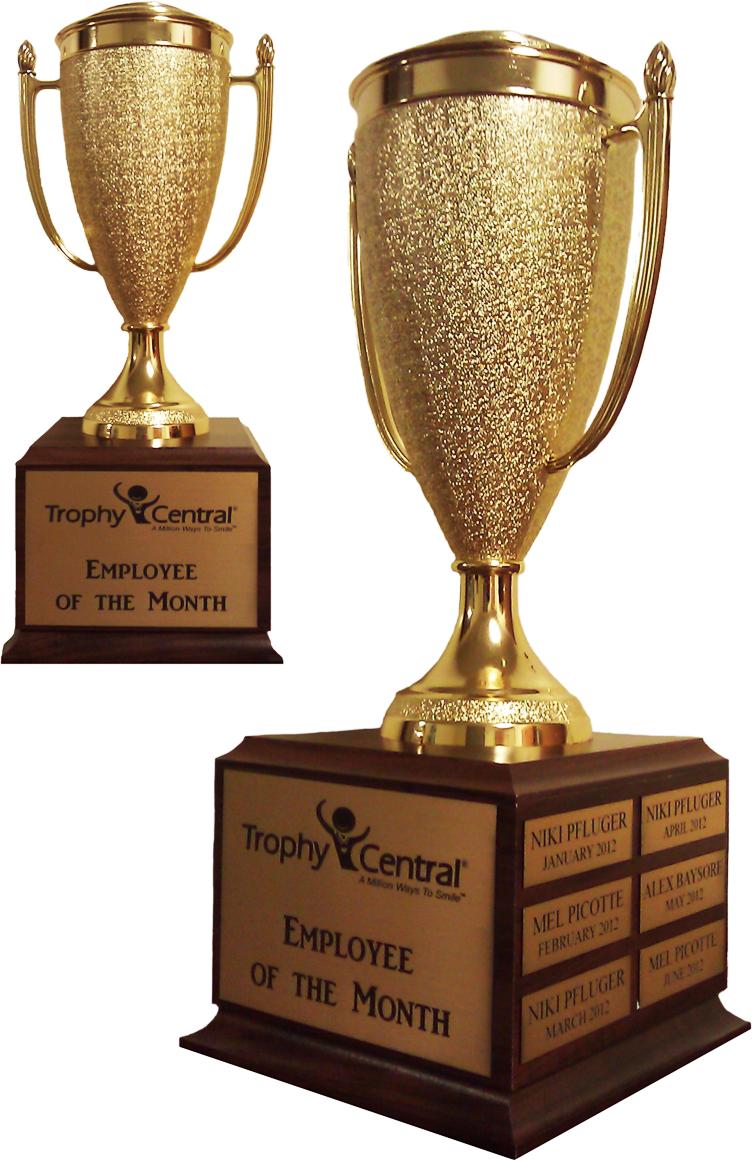 Champion's Cup Trophy | TrophyCentral