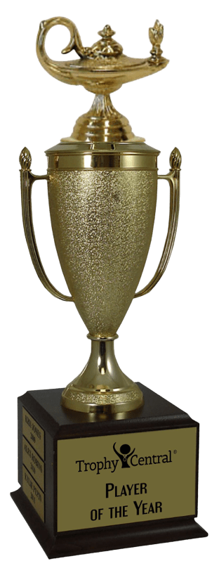 Academic Champion's Cup Trophy | TrophyCentral