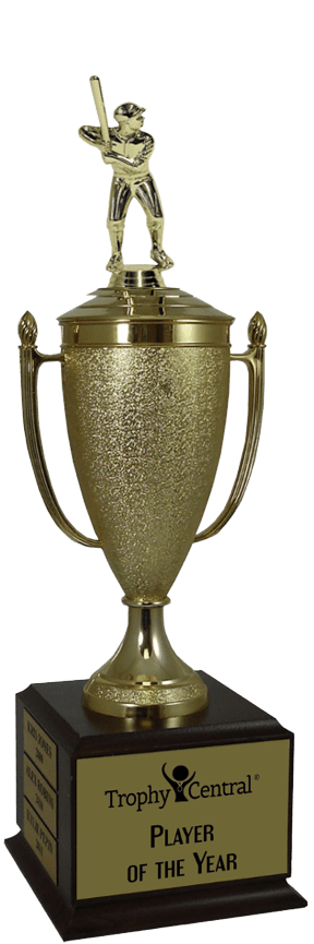 Champion's Cup Baseball Trophy | Baseball Trophies