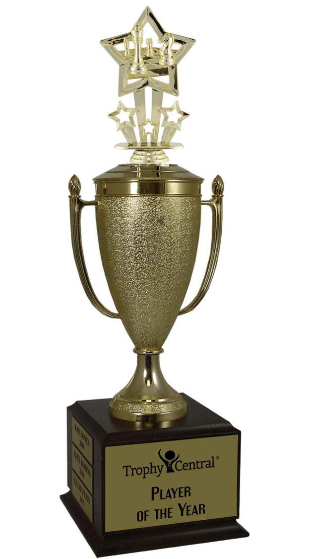 Chess Champion's Cup Trophy | TrophyCentral