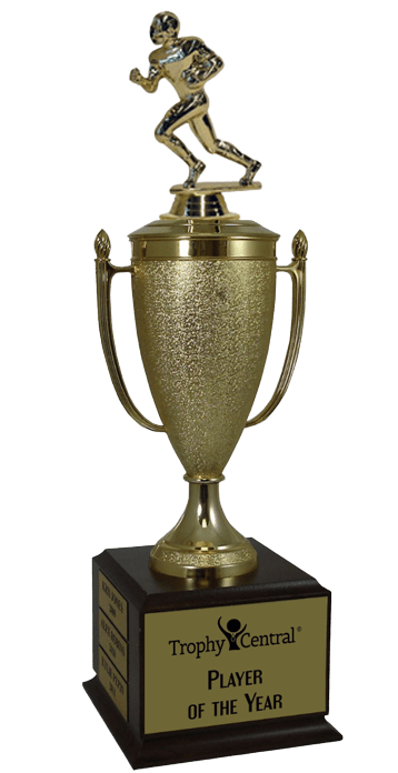 Football Champion's Cup Trophy | TrophyCentral