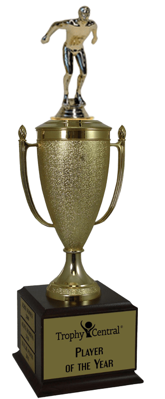 Swimming Champion's Cup Trophy | Swimming Trophies