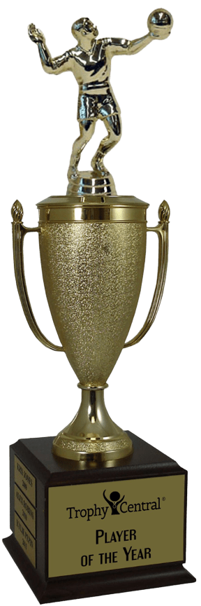 Volleyball Champion's Cup Trophy | Volleyball Trophies