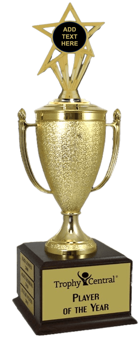 Champion's Cup Trophy with Blank Engraveable Insert | TrophyCentral
