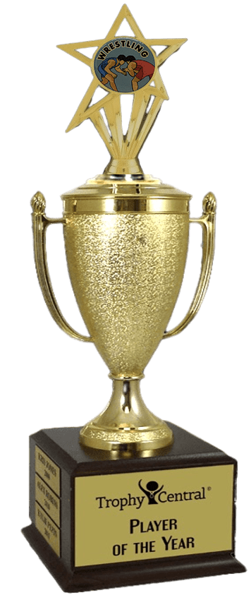 Champion's Cup Trophy with Wrestling Insert | TrophyCentral