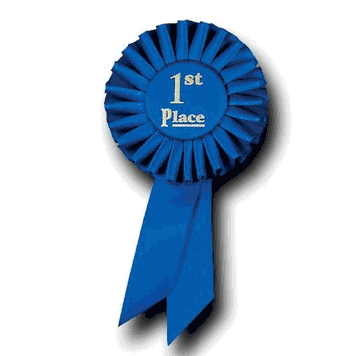 Blue Ribbons & Rosettes, Blue Ribbons | TrophyCentral