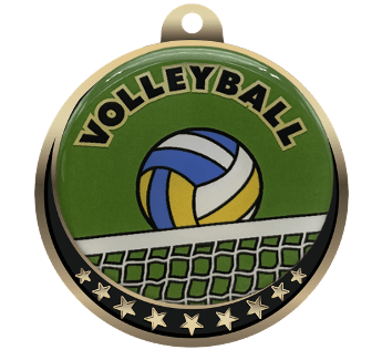 Colorful Volleyball Insert Medals | TrophyCentral