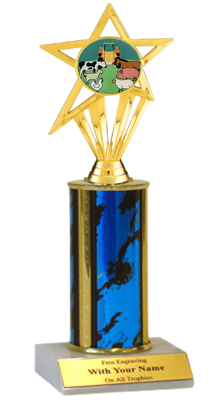 State and County Fair Trophies, Medals and Awards