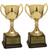Trophy Wording Ideas | Trophy Sample Wording