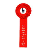 Rosette Ribbons | Blue Rosette Ribbon | Rosettes