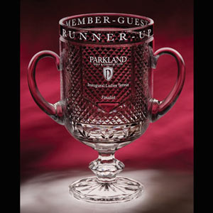 Diamond Championship Cup Awards | TrophyCentral