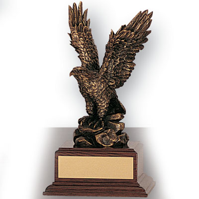Eagle Leadership Award | TrophyCentral