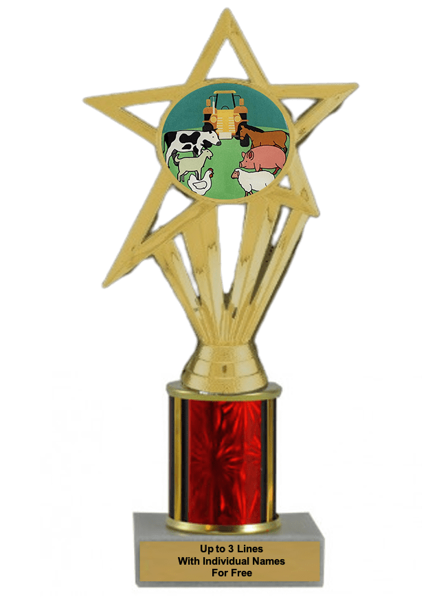 Economy Column Insert Trophy - County Fair | TrophyCentral