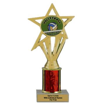 Economy Column Insert Trophy - Volleyball | TrophyCentral