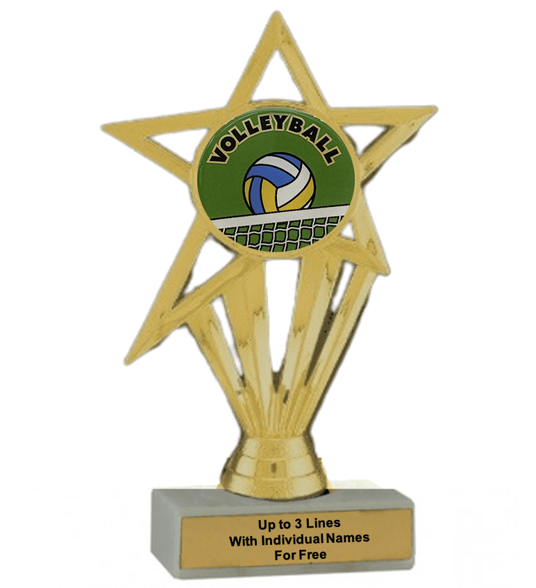 Budget Insert Trophy - Volleyball | TrophyCentral