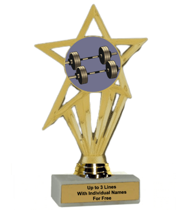 Budget Insert Trophy - Weightlifting Excellence | TrophyCentral