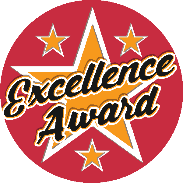 Colorful Excellence Epoxy-Covered Insert Stickers | TrophyCentral