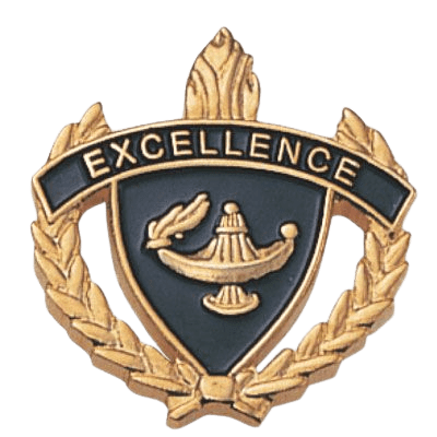 Excellence - HP Series Pins | TrophyCentral