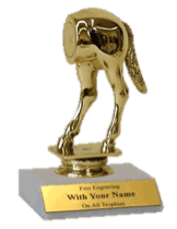 Funny Gag and Joke Trophies | TrophyCentral