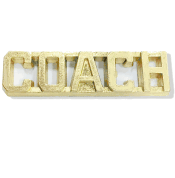 "Coach" Gold Chenille Letter Pins Online, Coach Lapel Pin | TrophyCentral