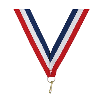 Colorful Honorable Mention Insert Medals | Place Medals