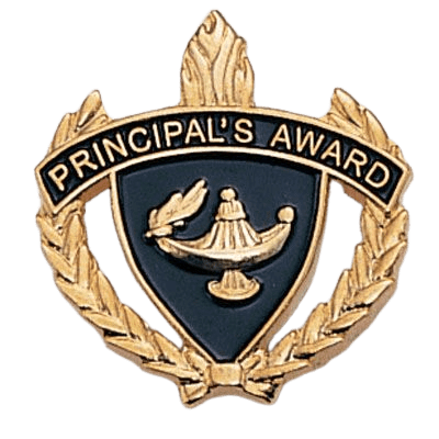 Principal's Award - HP Series Award Pins | TrophyCentral