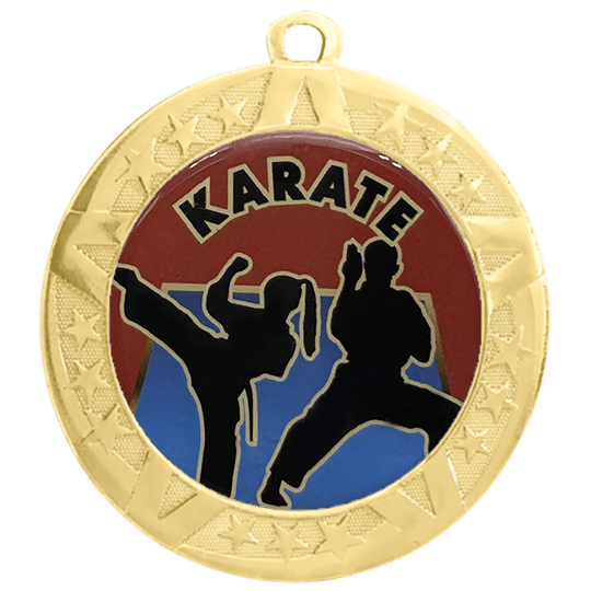 2 3/4 inch Karate medals with a gold frame and 2 inch Epoxy dome decal ...