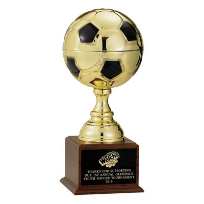 Metal Soccer Ball Award | TrophyCentral