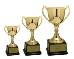 Custom Engraved Trophies and Awards