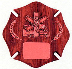 Paramedic Plaque | TrophyCentral