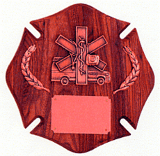 Paramedic Plaque | TrophyCentral