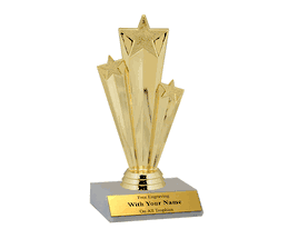 Custom Engraved Trophies, Awards and More!