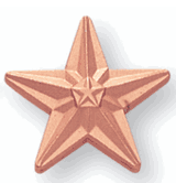 Star Pins, Pin Star, Star Lapel Pins
