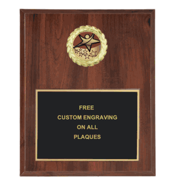 Beautiful Rising Star Insert Plaque from TrophyCentral