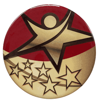 Colorful Rising Star Epoxy-Covered Insert Stickers | TrophyCentral