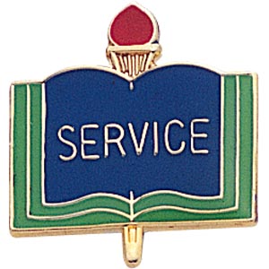 Service AP Series Lapel Pins | TrophyCentral